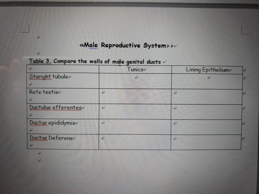 Solved «Male Reproductive System>> Table 3. Compare the | Chegg.com