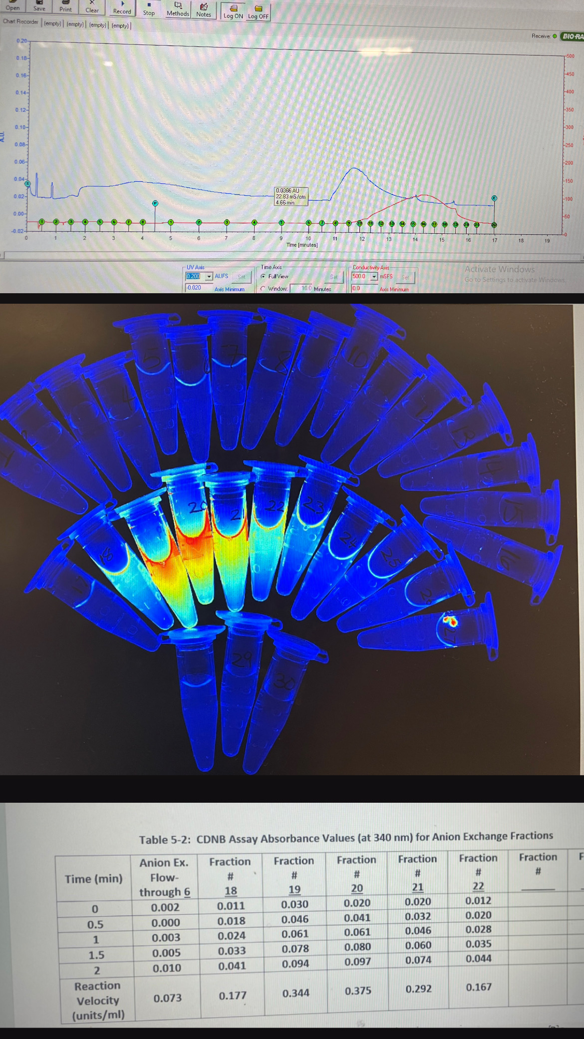 Solved Explain how the chromatogram results to the gel doc | Chegg.com