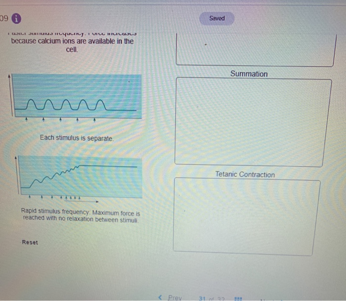 Solved iz: Ch 09 Saved Classify the myograms based on | Chegg.com