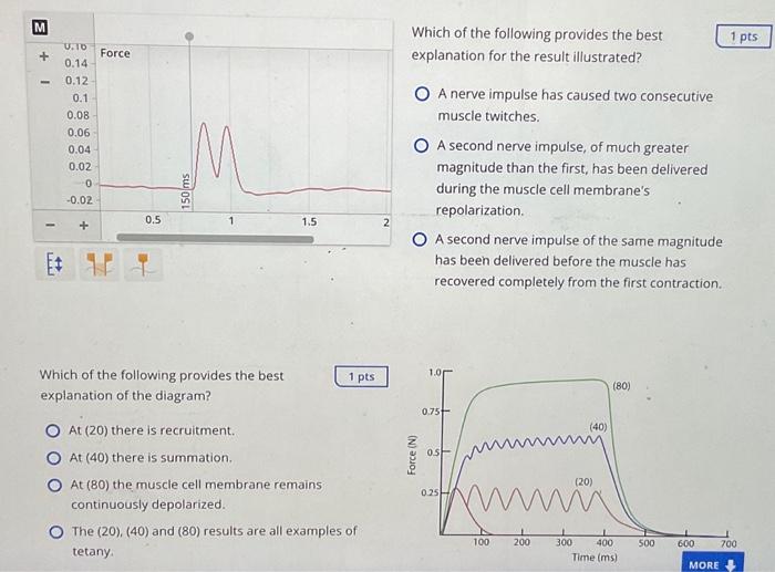 Solved Which statement is true in a skeletal muscle? An | Chegg.com