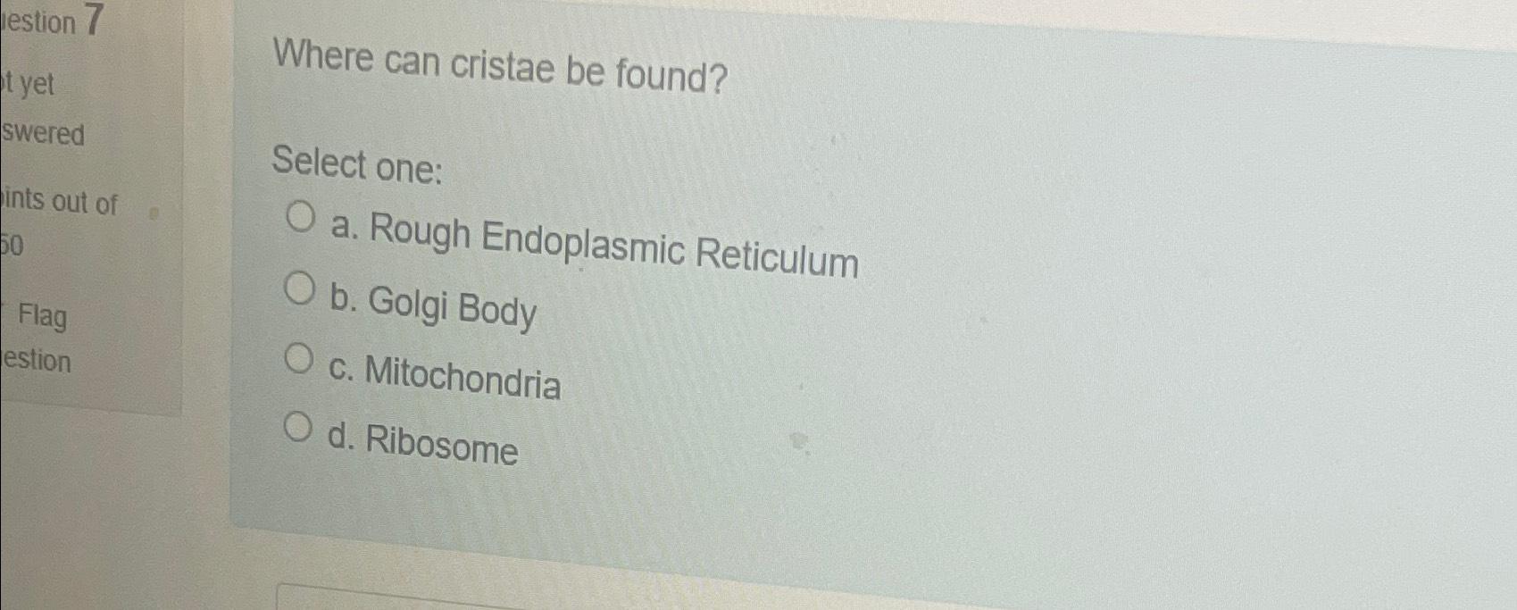 Solved Where can cristae be found?Select one:a. ﻿Rough | Chegg.com