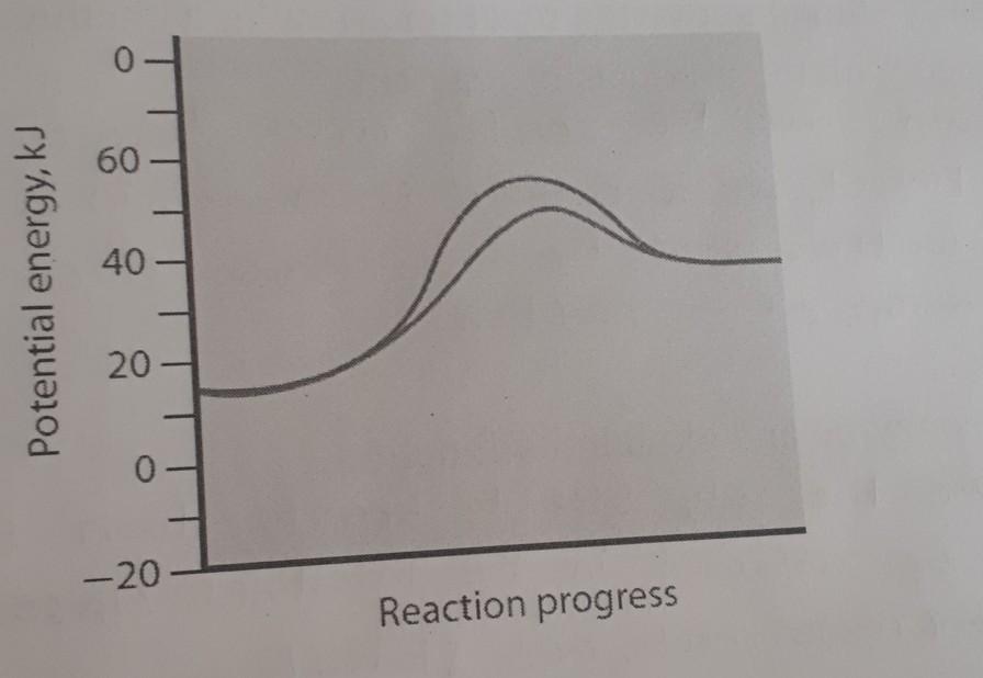 Solved what is the H, Ea(fwd), and Ea(rev) for the | Chegg.com