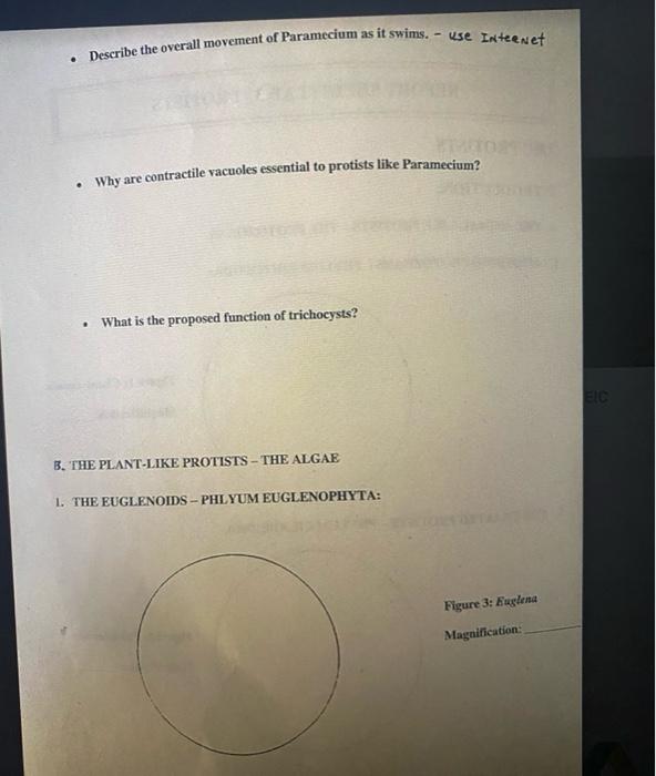 Solved HWE Name REPORT SHEET: LAB - PROTISTS THE PROTISTS | Chegg.com