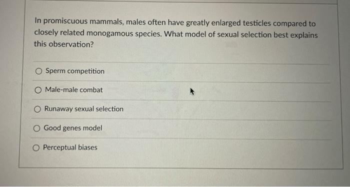 Solved In promiscuous mammals, males often have greatly | Chegg.com