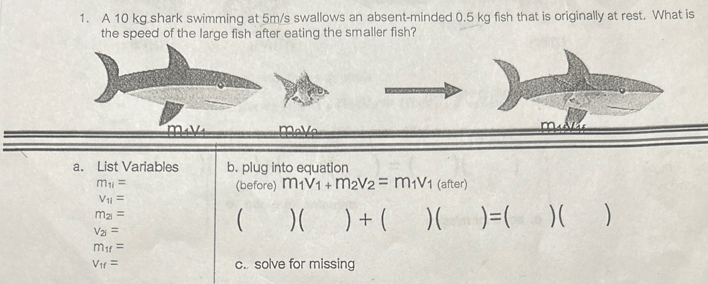 Solved A 10kg ﻿shark swimming at 5ms ﻿swallows an | Chegg.com