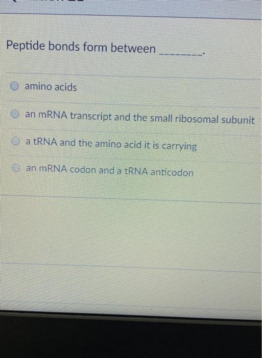Solved Peptide bonds form between amino acids an mRNA | Chegg.com