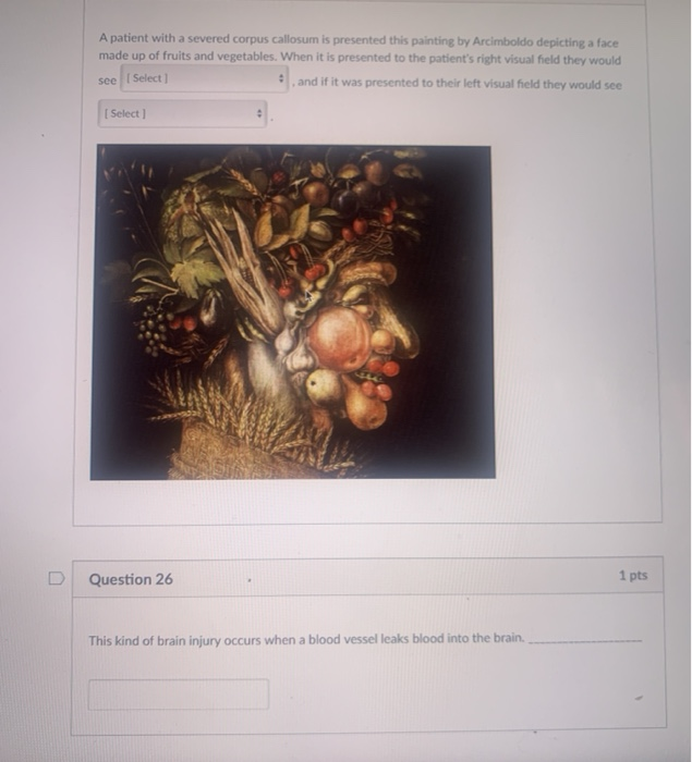 Solved A patient with a severed corpus callosum is presented | Chegg.com