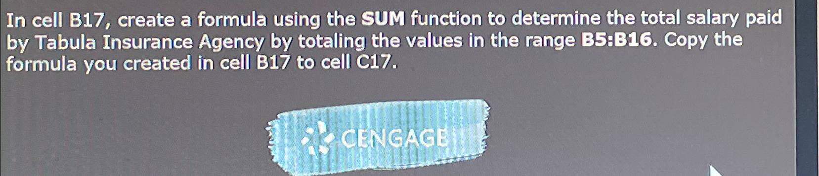 Solved In cell B17, ﻿create a formula using the SUM function | Chegg.com