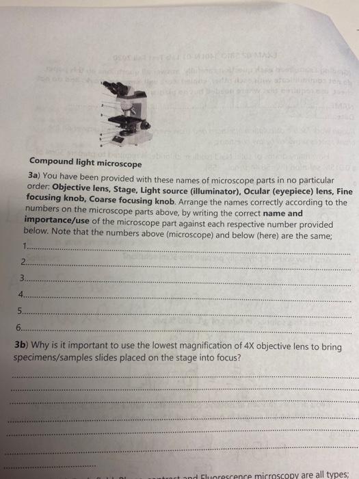 Solved Compound light microscope 3a) You have been provided | Chegg.com