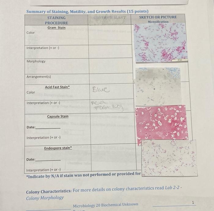 Solved biochemical unkown identificarion report gram stain , | Chegg.com