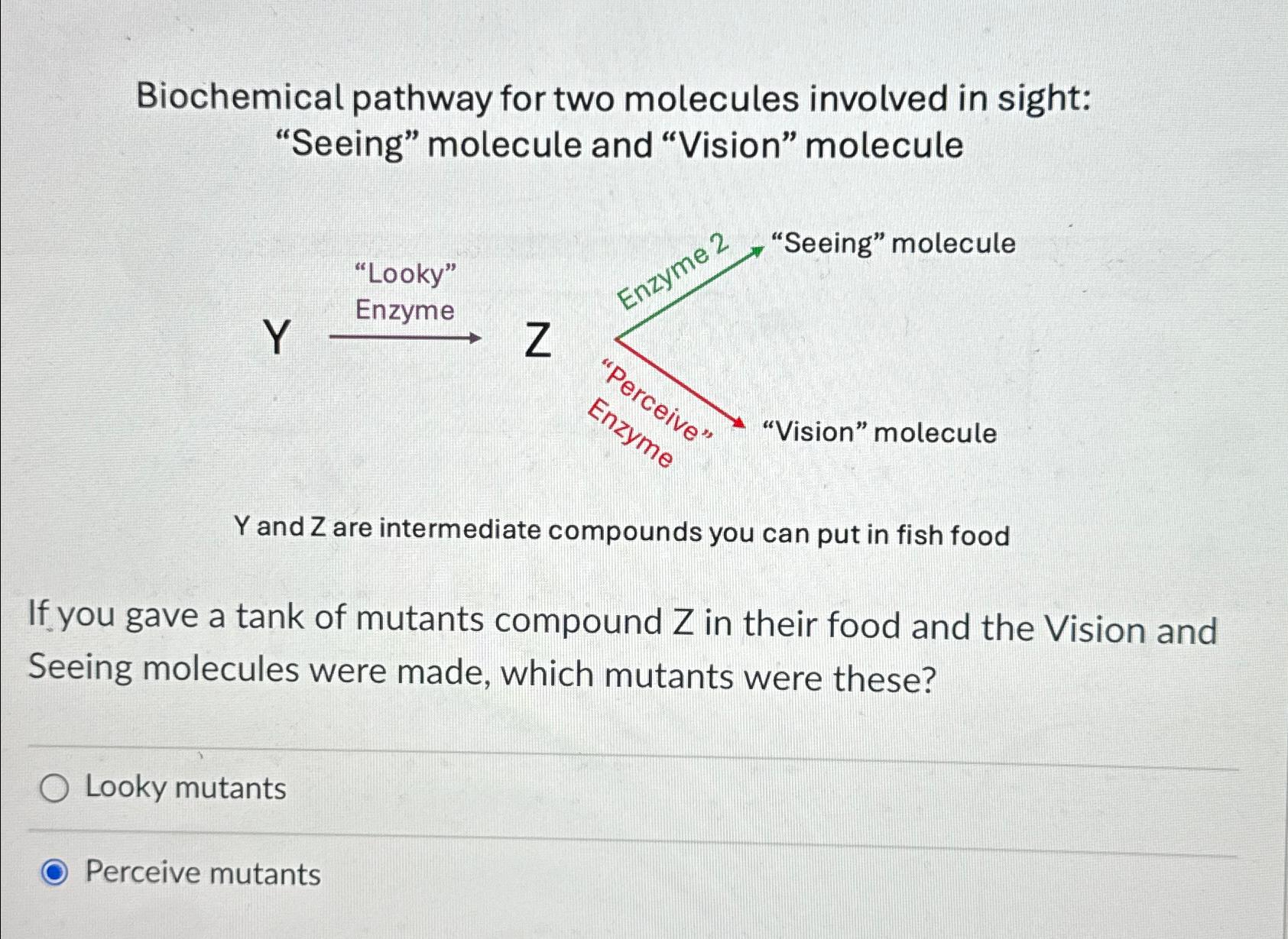 Solved Biochemical pathway for two molecules involved in | Chegg.com