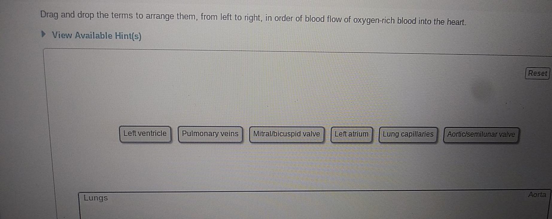 Solved Drag and drop the terms to arrange them, from left to | Chegg.com