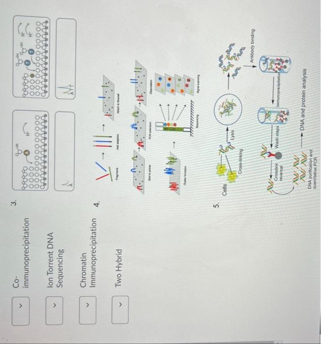 Solved Match the experiment with the image of the experiment | Chegg.com