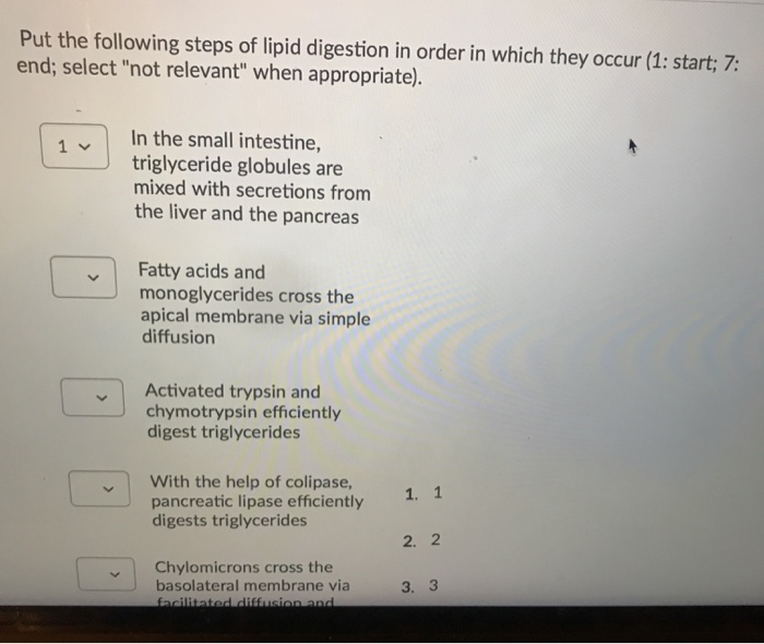 Solved In response to fatty acids in the duodenum, Select | Chegg.com