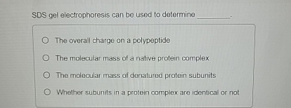 Solved SDS gel electrophoresis can be used to determine | Chegg.com