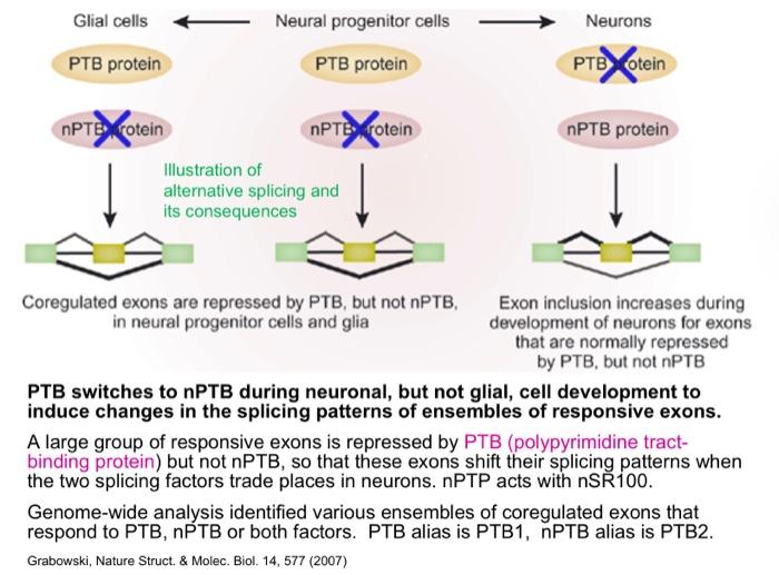 Solved explain what’s depicted on the slide explain this | Chegg.com