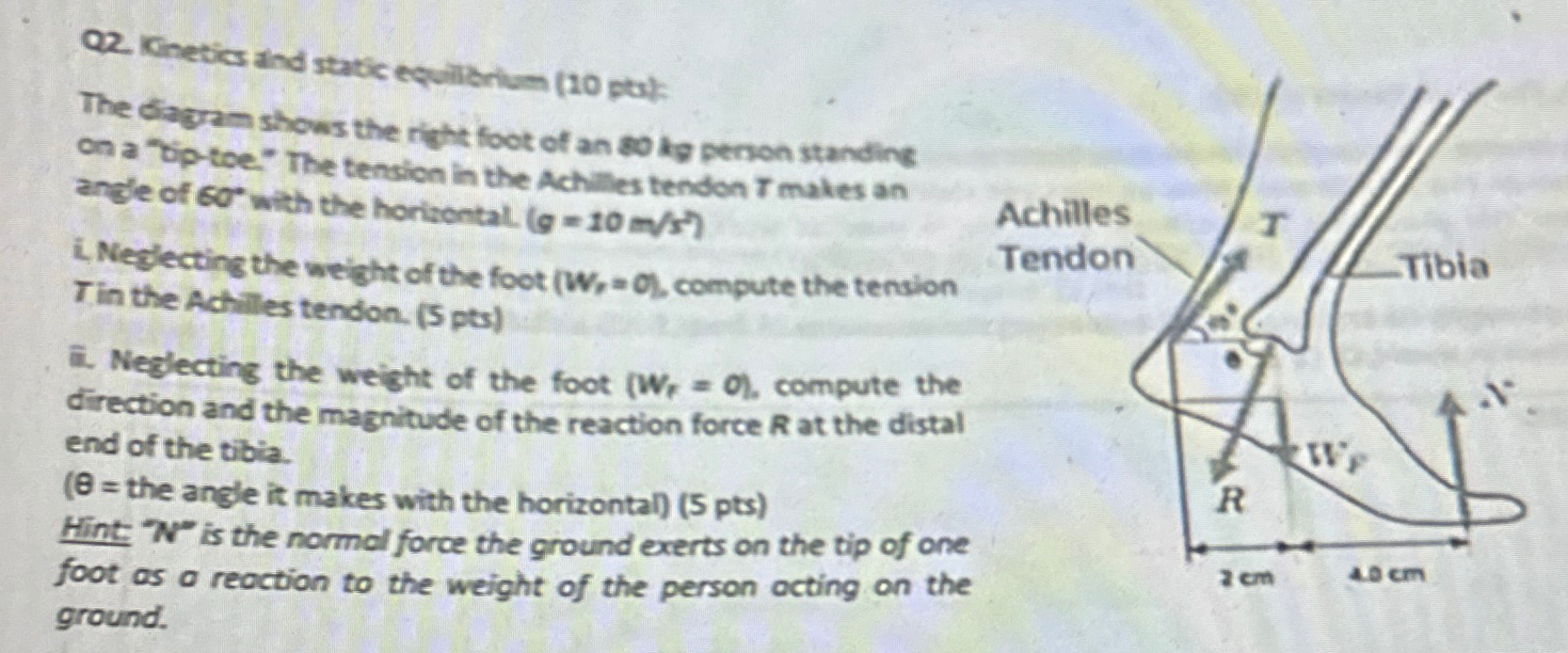 Solved Q2. ﻿Finetics and static equilibrium (10pta) ﻿:The | Chegg.com