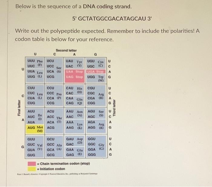 Solved Below is the sequence of a DNA coding strand. 5' | Chegg.com