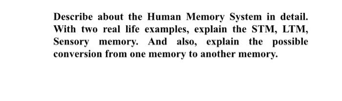 Solved Describe about the Human Memory System in detail. | Chegg.com