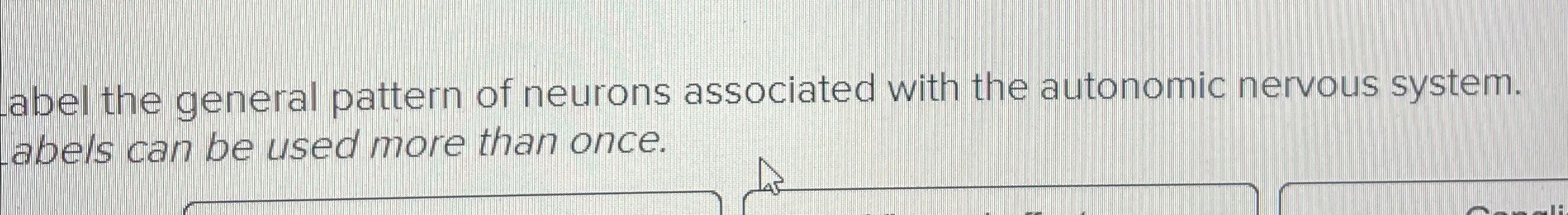 Solved Label the general pattern of neurons associated with | Chegg.com