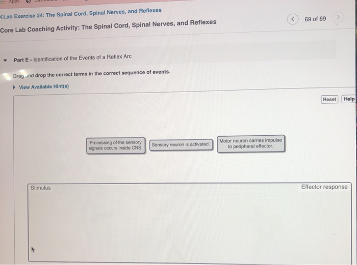 Solved AppS Da Lab Exercise 24: The Spinal | Chegg.com