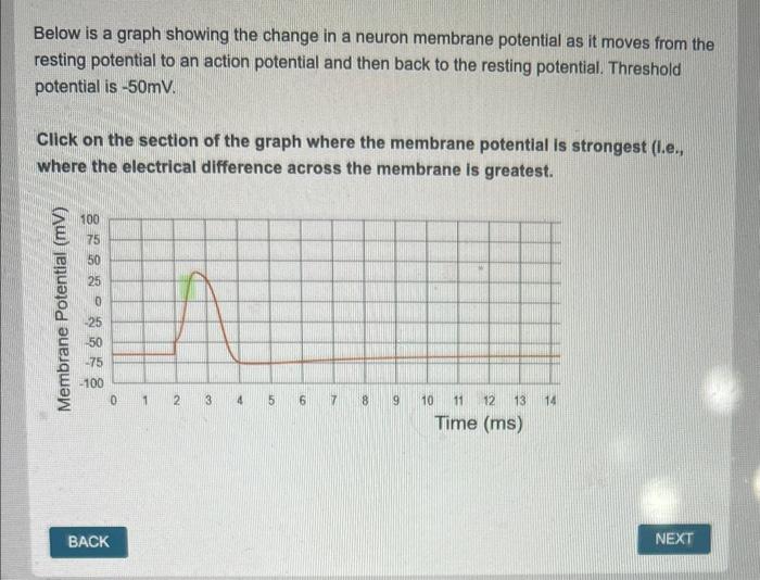 Solved Below is a graph showing the change in a neuron | Chegg.com
