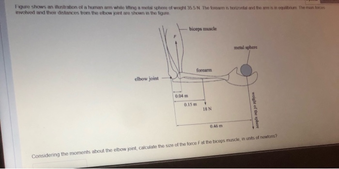 Solved Figure shows an illustration of a human arm while | Chegg.com