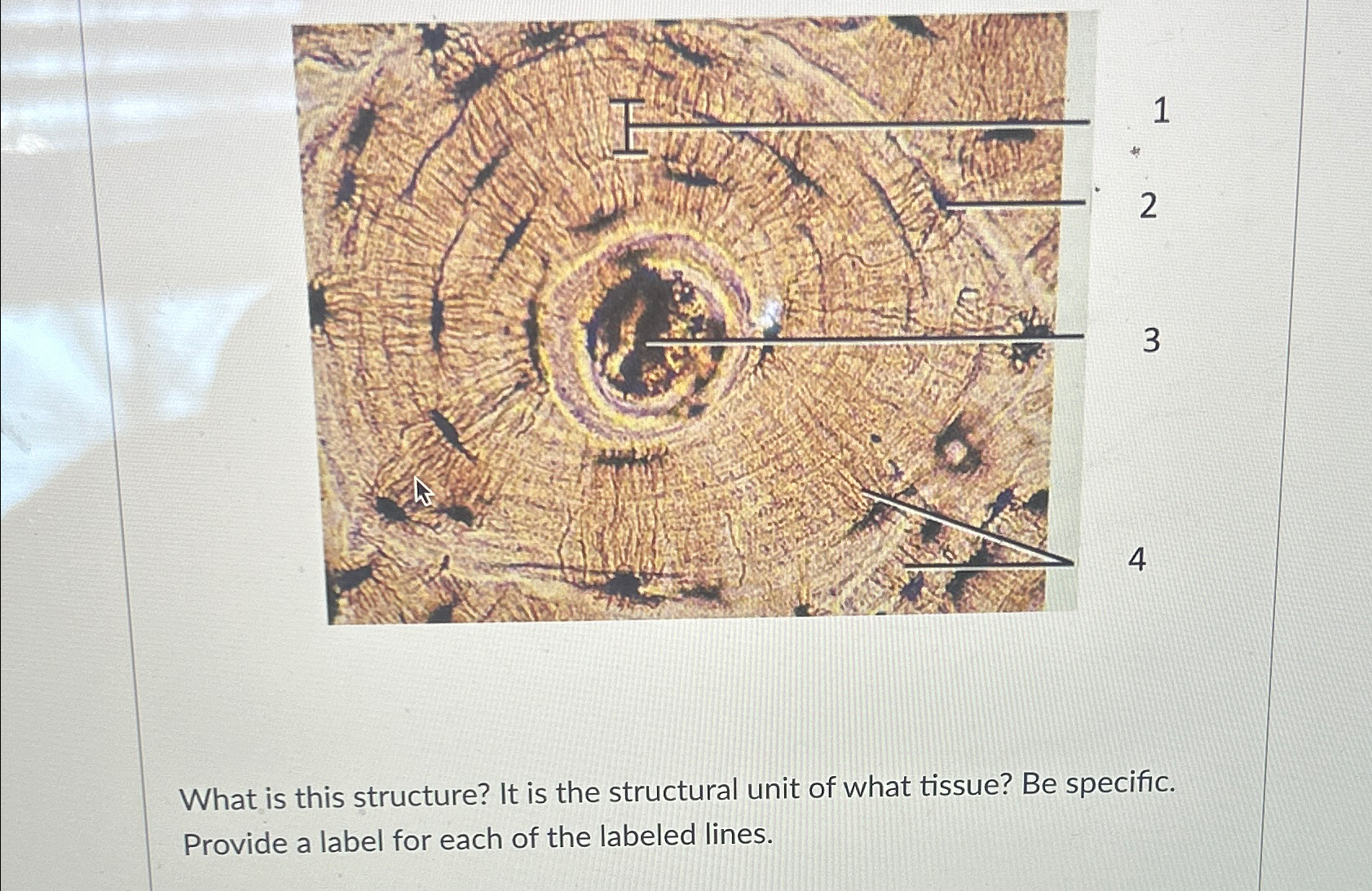 Solved What is this structure? It is the structural unit of | Chegg.com