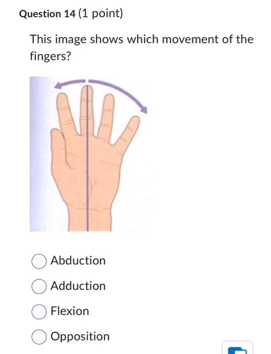 Solved This image shows which movement of the fingers? | Chegg.com