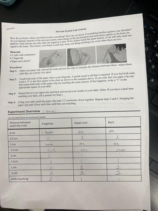 Solved signal to the brain. This m Materials - I ruler with | Chegg.com