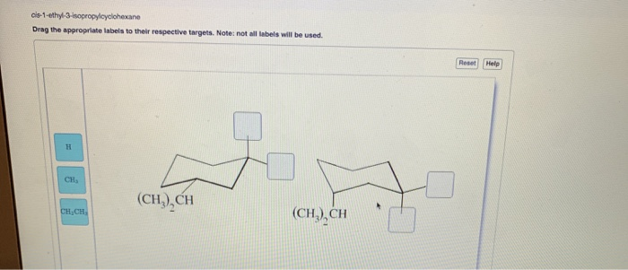 Solved cis-1-ethyl-3-isopropylcyclohexane Drag the | Chegg.com