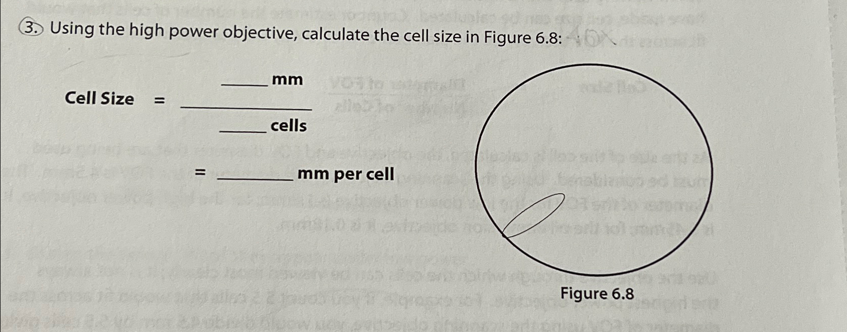 Solved Using the high power objective, calculate the cell | Chegg.com