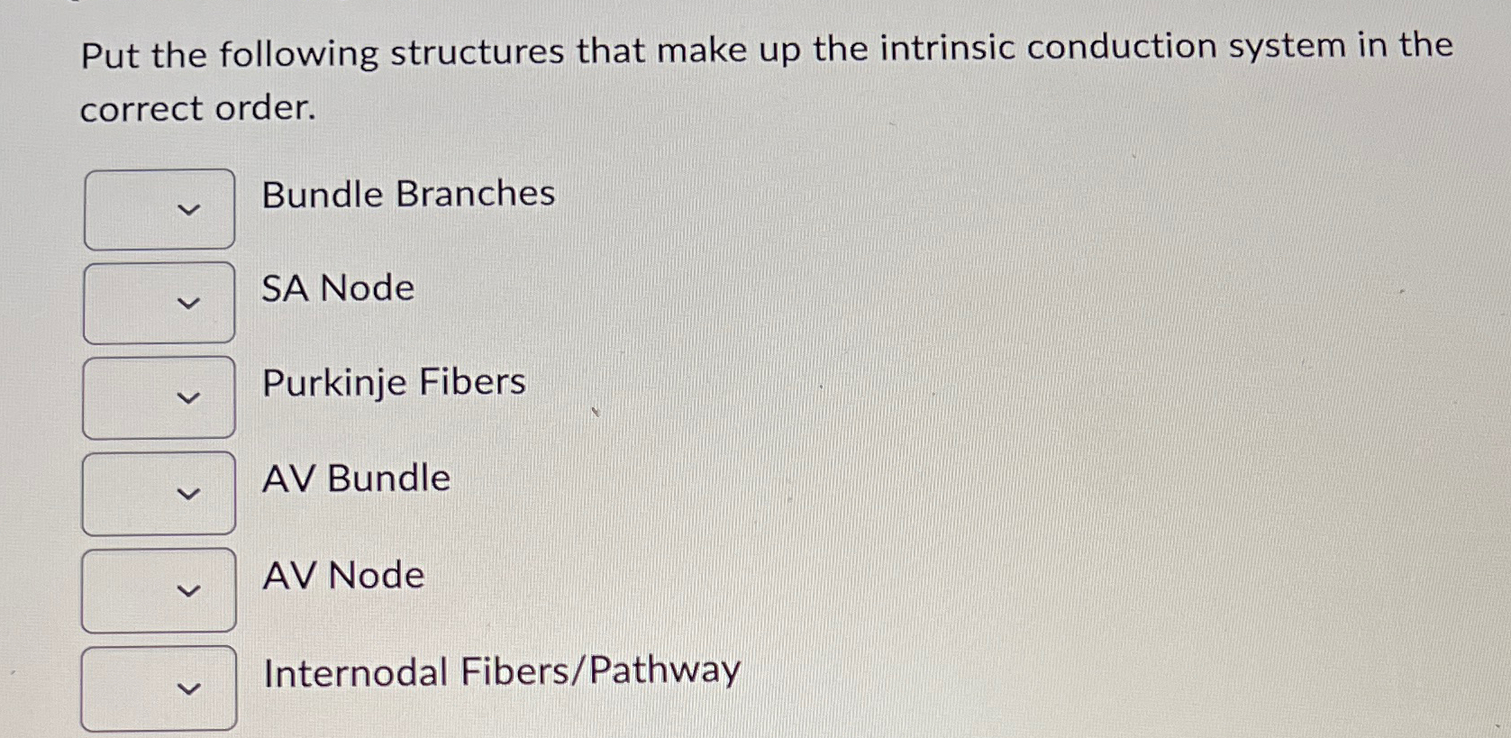 Solved Put the following structures that make up the | Chegg.com