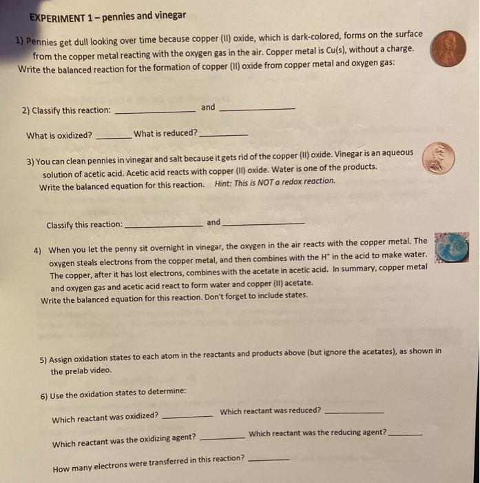 Solved EXPERIMENT 1 - pennies and vinegar 1) Pennies get | Chegg.com