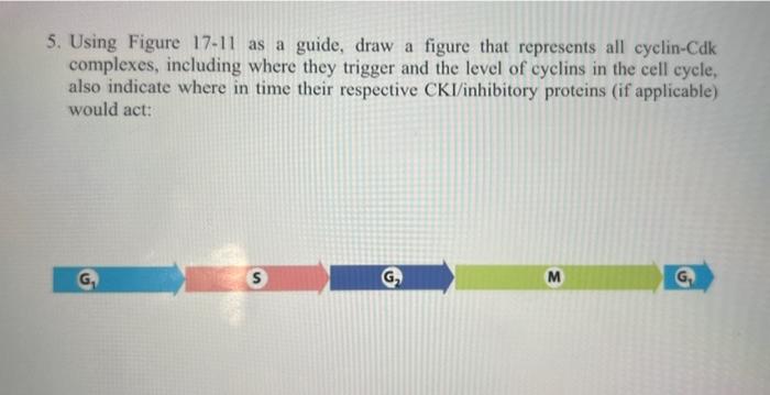Solved 5. Using Figure 17−11 as a guide, draw a figure that | Chegg.com