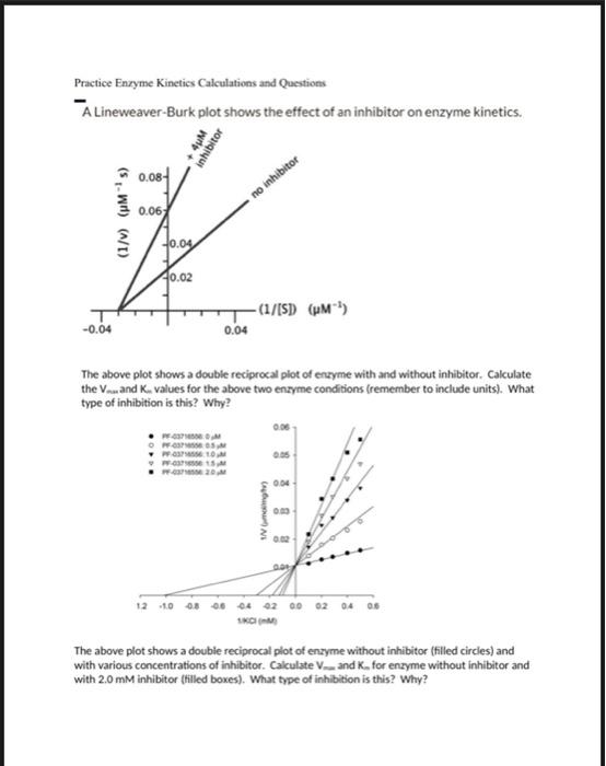 Solved Practice Enxyme Kinetics Calculations and Questions A | Chegg.com