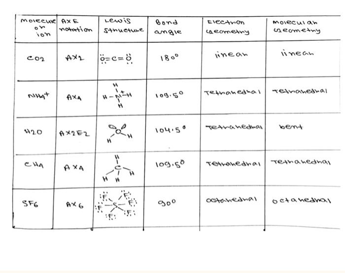 using the virtual molecular model kit on chemagic.org | Chegg.com