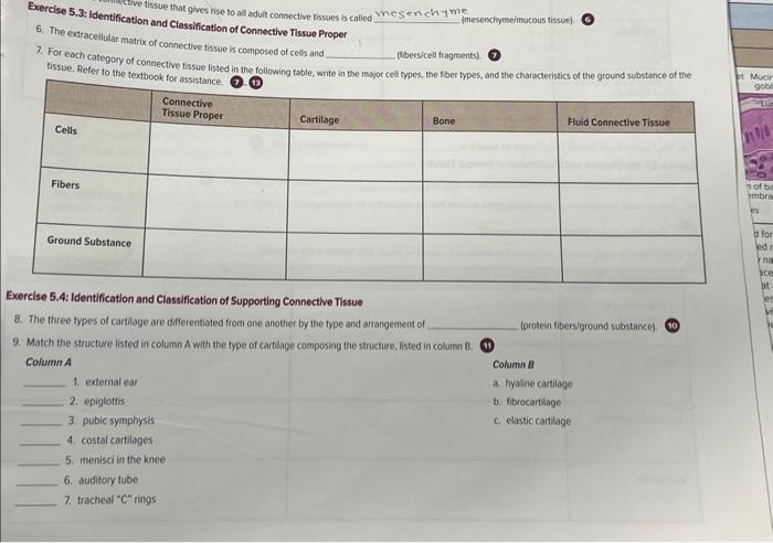 Solved Exercise 5.3: Identification that gives rise to al | Chegg.com