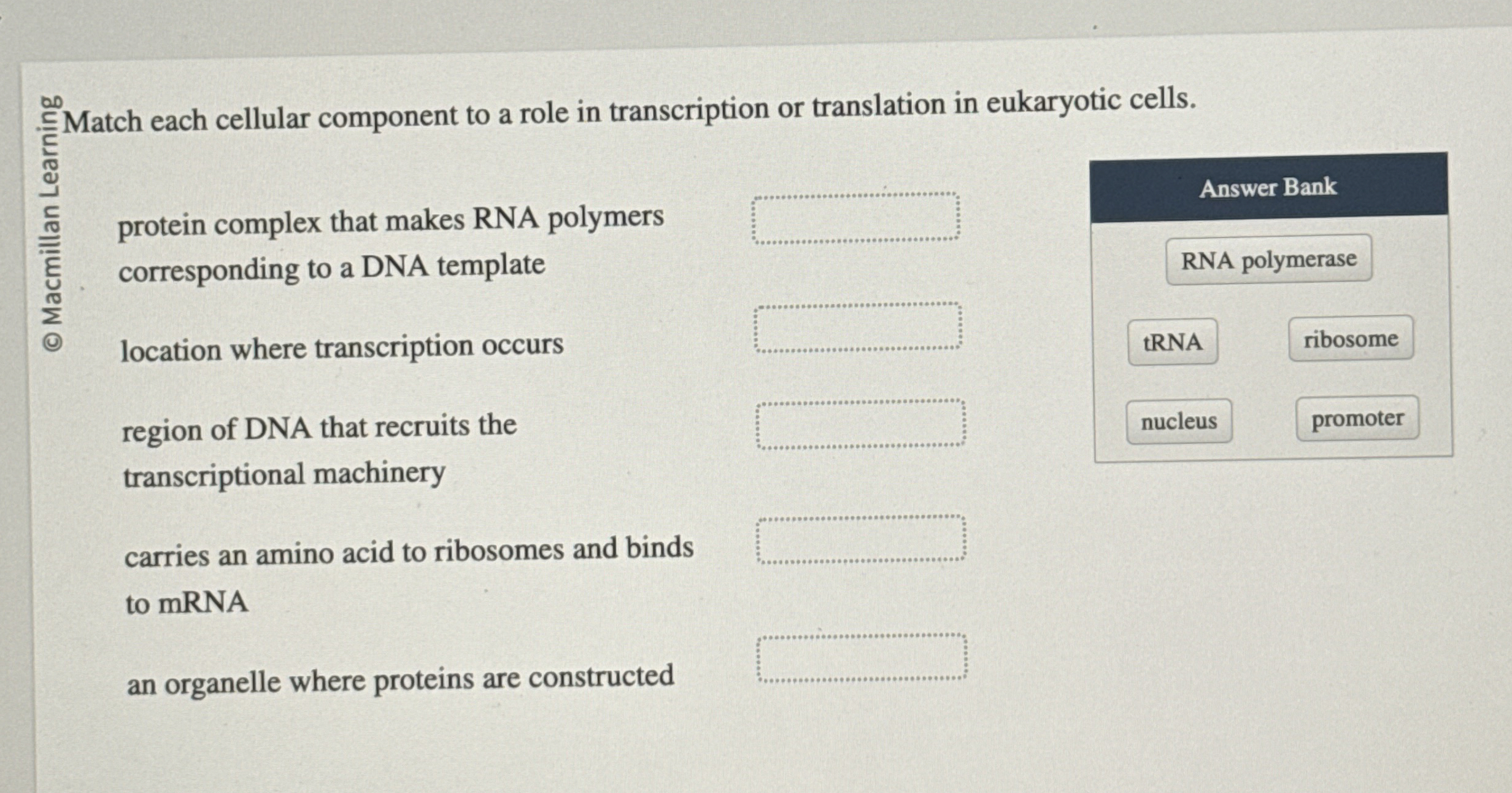 Solved protein complex that makes RNA polymers corresponding | Chegg.com