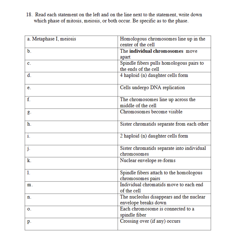 Solved Read each statement on the left and on the line next | Chegg.com