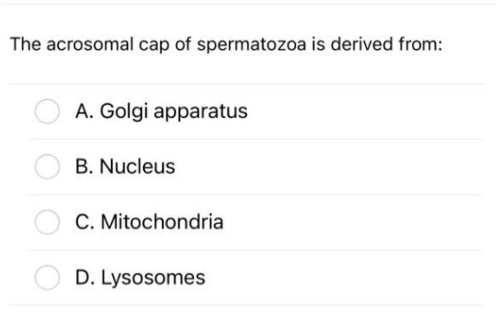Solved The acrosomal cap of spermatozoa is derived from: A. | Chegg.com