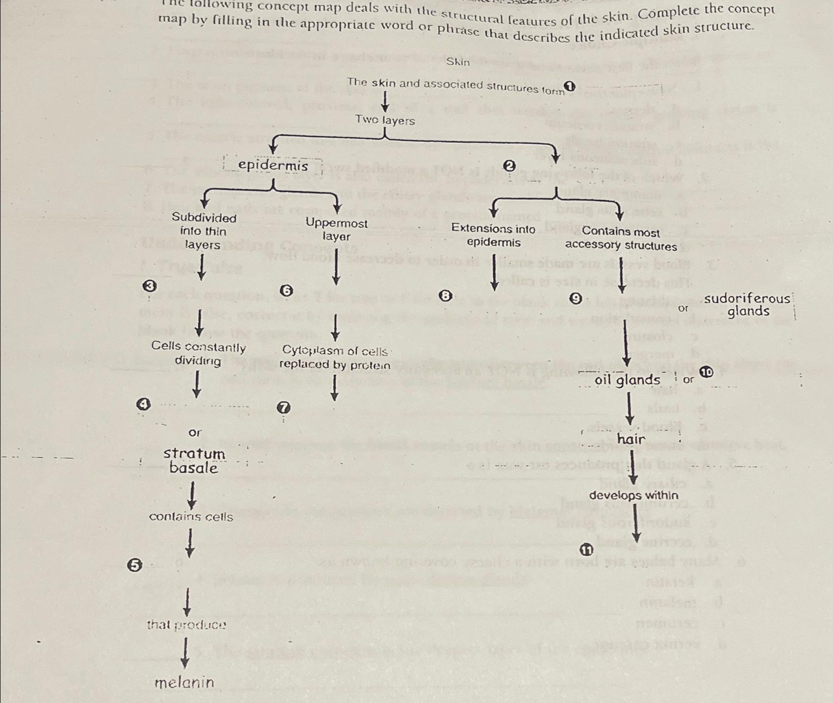 Solved me thewing concept map deals with the structural | Chegg.com