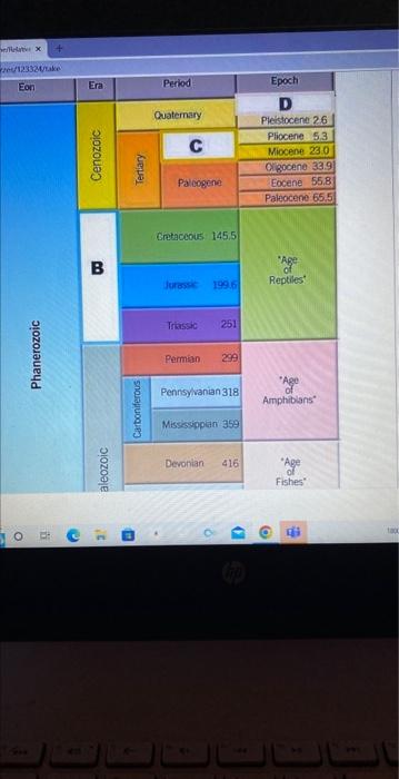 Solved Match the lettered blanks to their location in the | Chegg.com