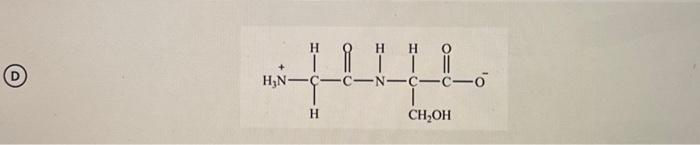 Solved What is the structure of the dipeptide Ser-Gly? (A) | Chegg.com