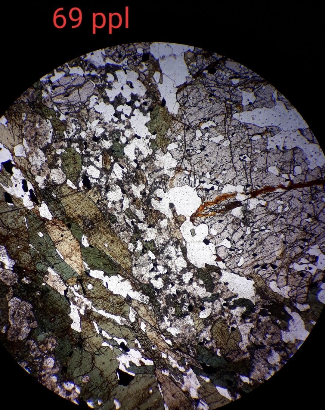 Solved every thin section is captured in plain and cross | Chegg.com