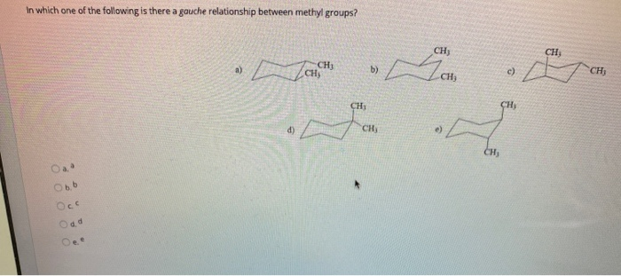 Solved In which one of the following is there a gauche | Chegg.com
