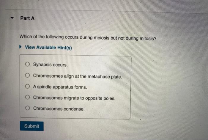 Solved Which of the following correctly matches a phase of | Chegg.com
