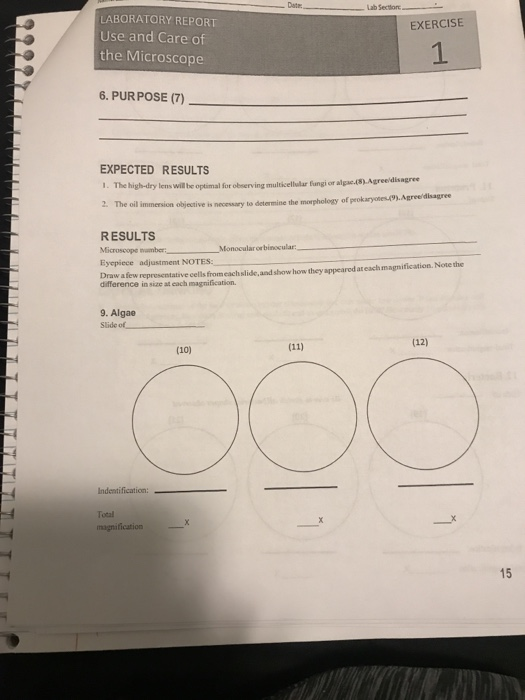 Value of each question in this lab exercise is | Chegg.com