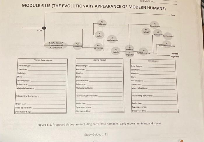 MODULE 6 US (THE EVOLUTIONARY APPEARANCE OF MODERN | Chegg.com