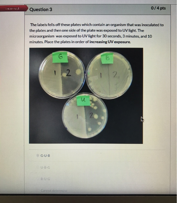 Solved Incorrect Question 3 0/4 pts The labels fells off | Chegg.com Solved Incorrect Question 3 0/4 pts The labels fells off | Chegg.com
